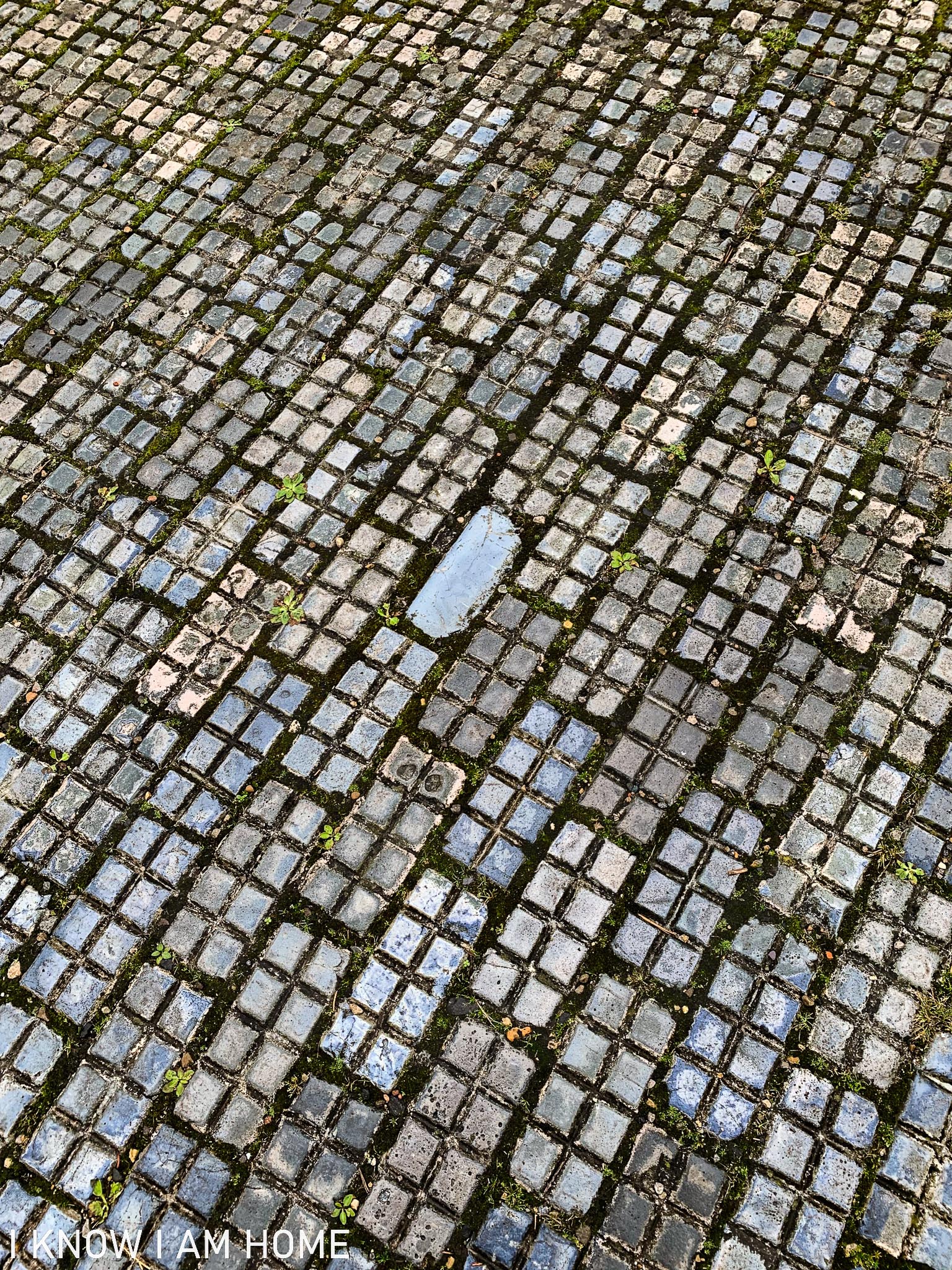 Coach House Back Lane – Saltburn Scoria Brick No.3 | I KNOW I AM HOME