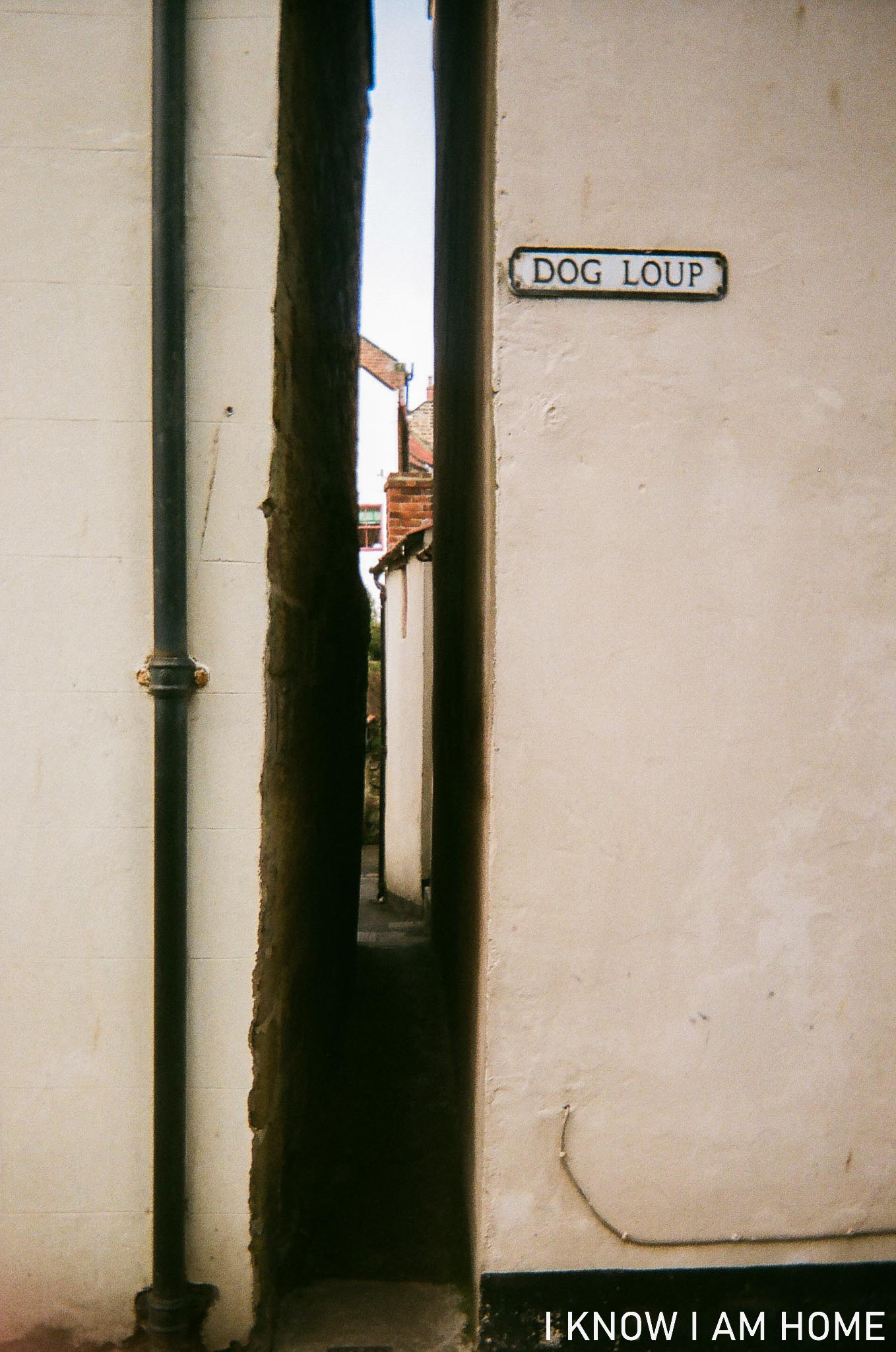 Dog Loup | I KNOW I AM HOME